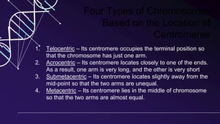 Definition of chromosomes and it's functions | PPTX