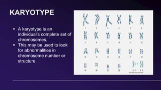 Definition of chromosomes and it's functions | PPTX