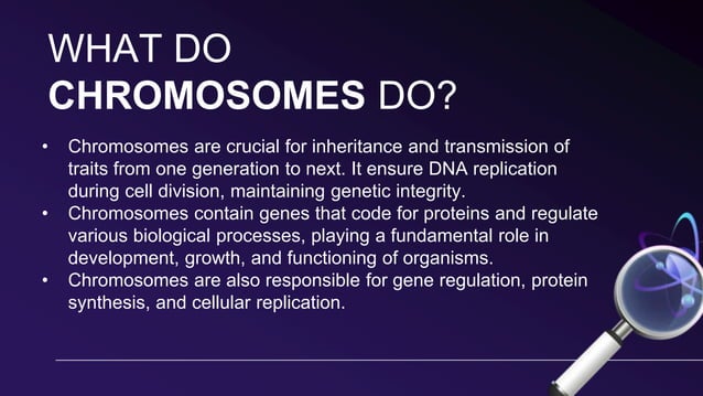 Definition of chromosomes and it's functions | PPTX | Genetics | Science