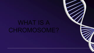 Definition of chromosomes and it's functions | PPTX