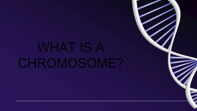 Definition of chromosomes and it's functions | PPTX | Genetics | Science