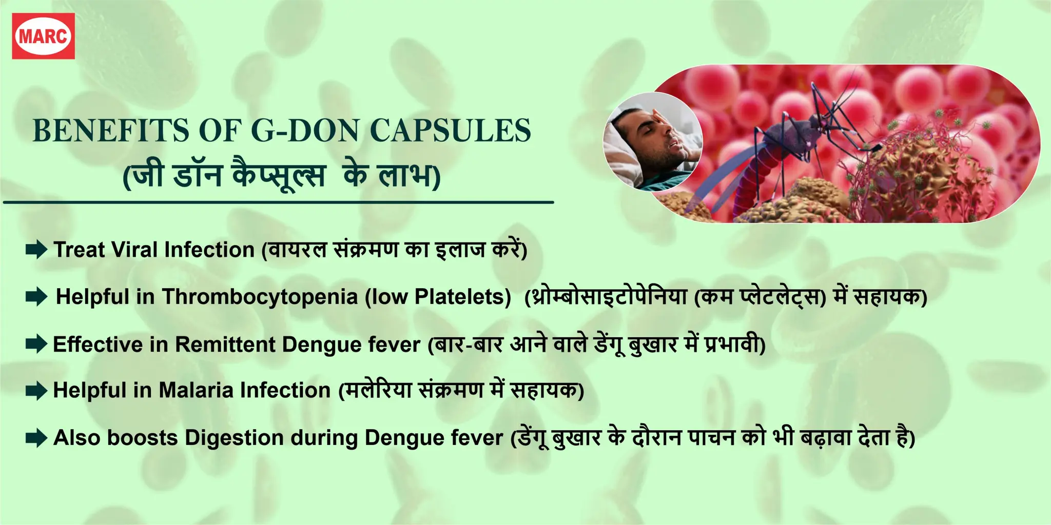 G-Don capsule effectively treats dengue by boosting platelets, cooling ...