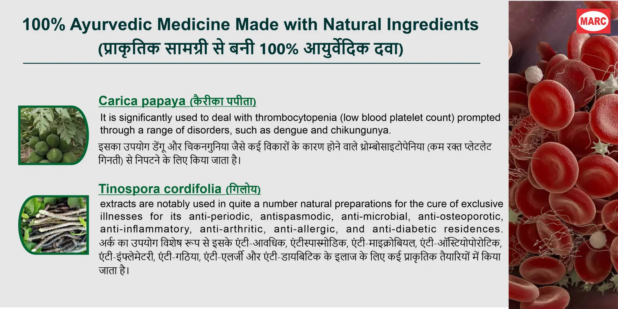 G-Don capsule effectively treats dengue by boosting platelets, cooling ...