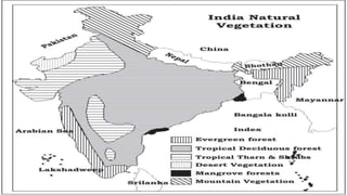 G-FOREST RESOURCES_spotlight.pptx.pptx s | PPTX | Geography | Science