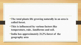 G-FOREST RESOURCES_spotlight.pptx.pptx s | PPTX | Geography | Science