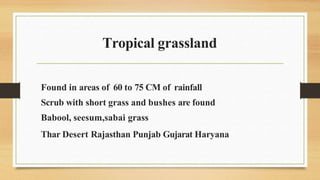 G-FOREST RESOURCES_spotlight.pptx.pptx s | PPTX | Geography | Science