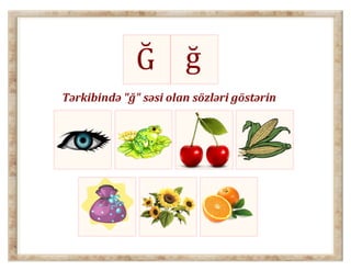 Ğ hərfi | PDF