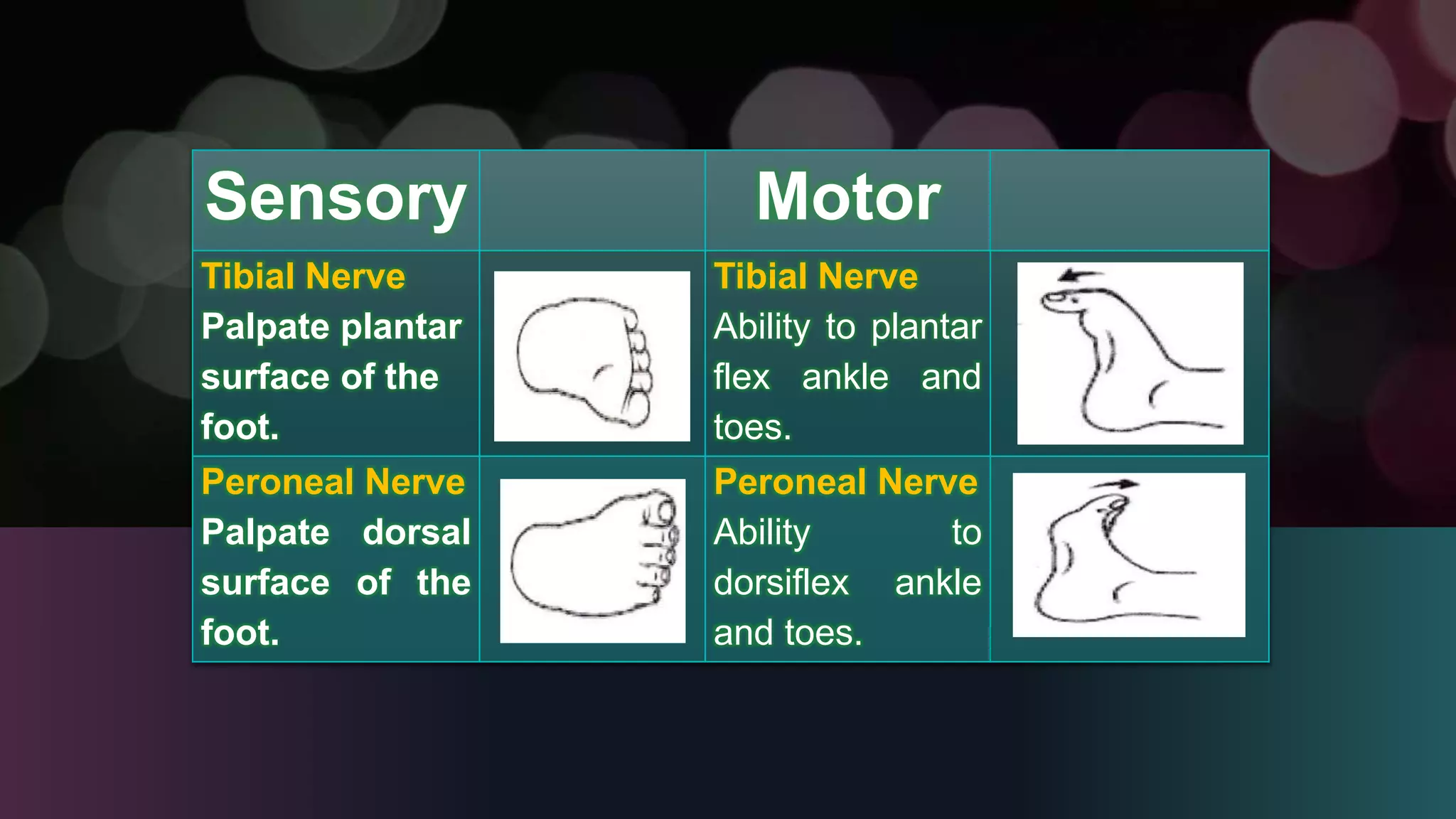 Neurovascular Assessment | PPTX