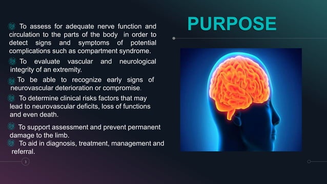 Neurovascular Assessment | PPTX