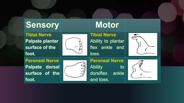 Neurovascular Assessment | PPT