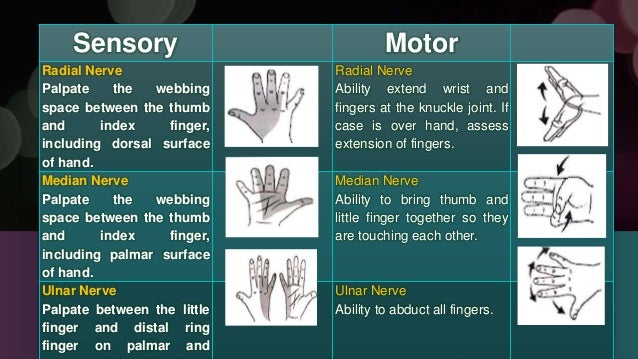 Neurovascular Assessment