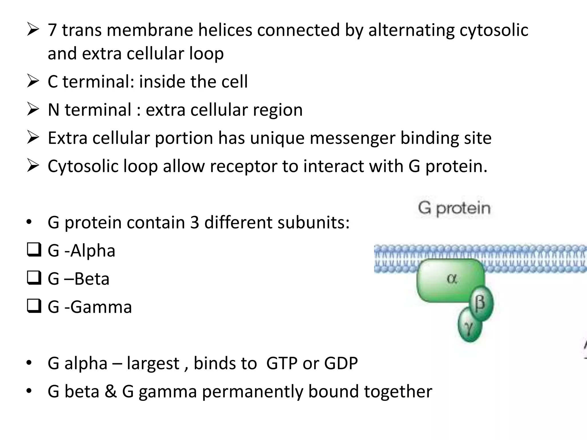 G protein-coupled receptors | PPTX