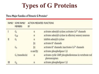 G protein-coupled receptors | PPTX
