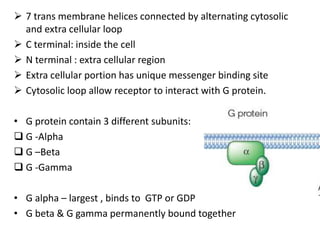 G protein-coupled receptors | PPTX