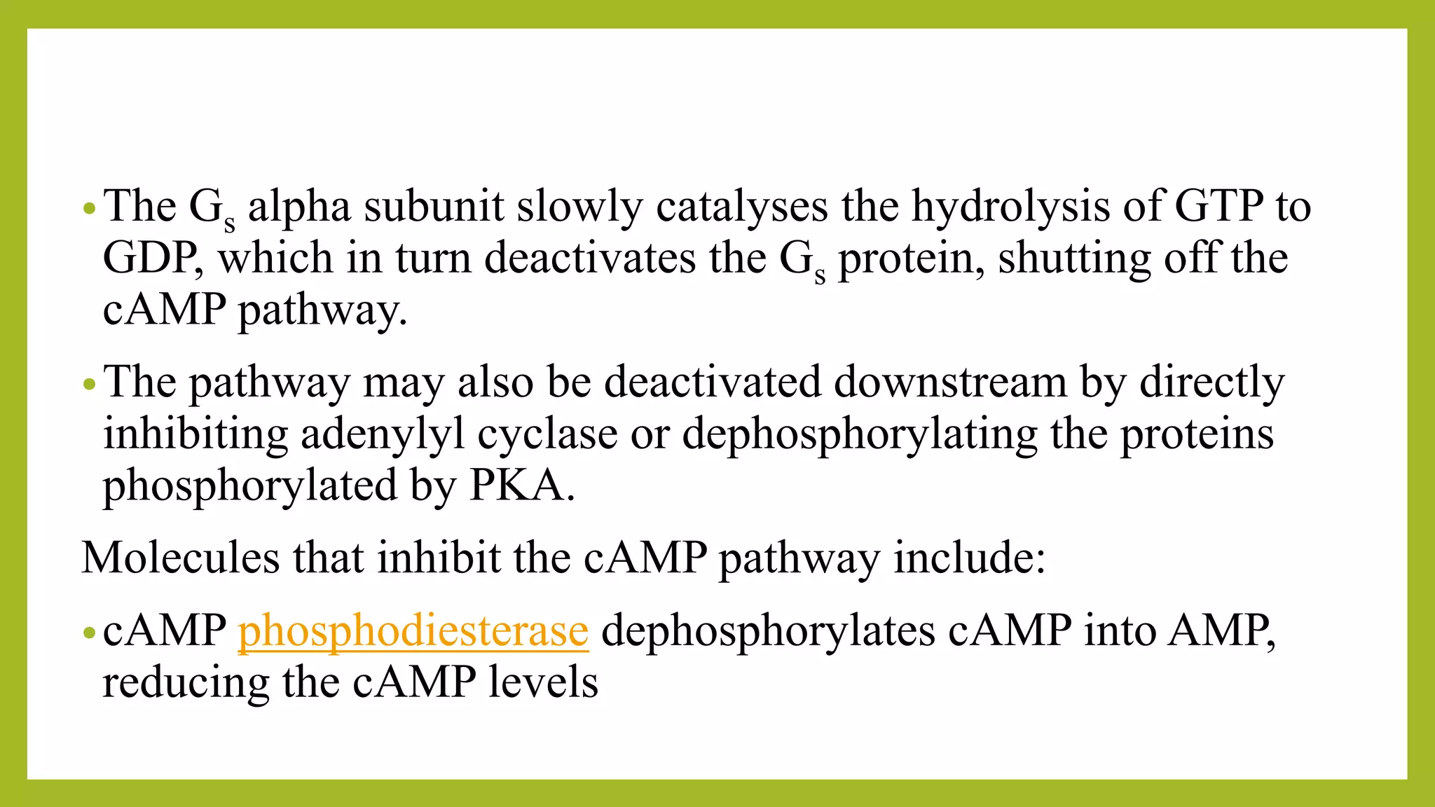 G protein coupled receptor | PPTX