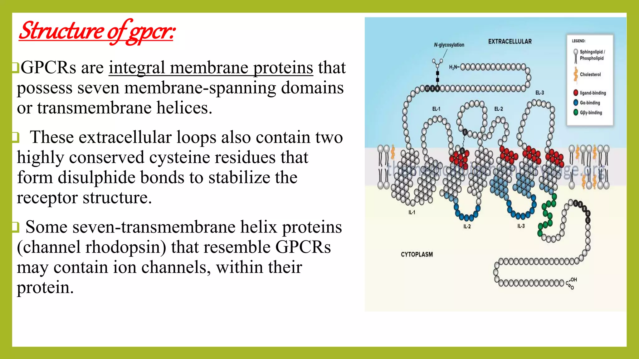 G protein coupled receptor | PPTX