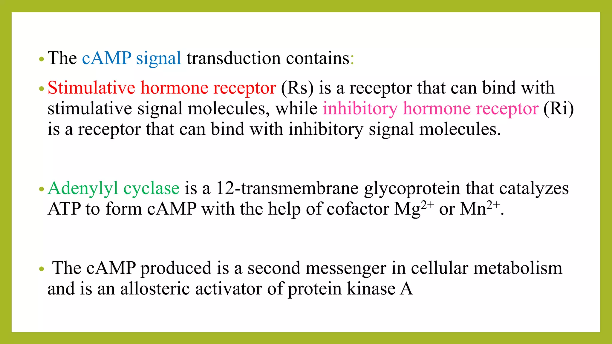 G protein coupled receptor | PPTX
