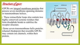 G protein coupled receptor | PPTX