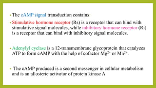 G protein coupled receptor | PPTX