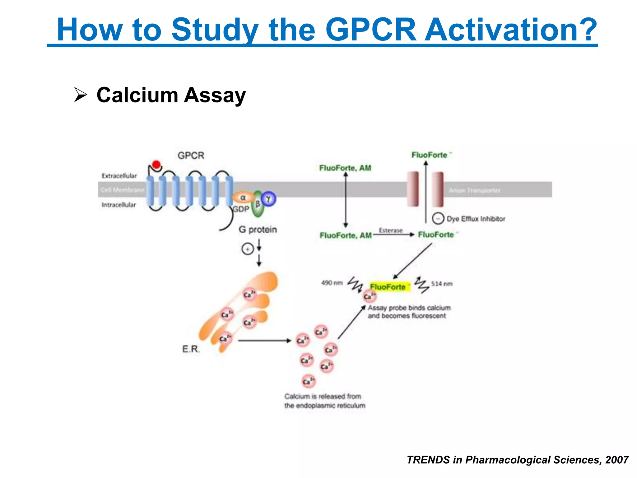 G protein coupled receptor(gpcr) | PPTX