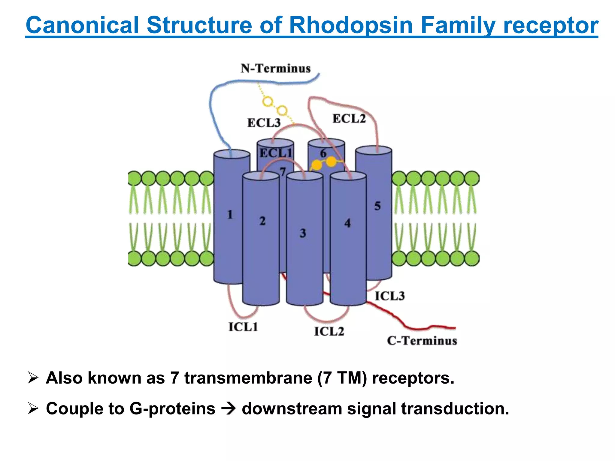 G protein coupled receptor(gpcr) | PPTX