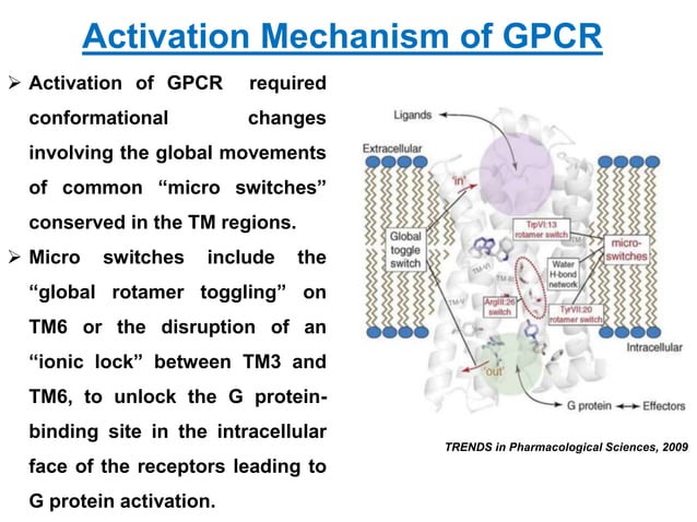 G protein coupled receptor(gpcr) | PPTX | Chemistry | Science