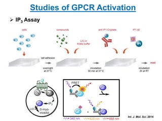 G protein coupled receptor(gpcr) | PPTX | Chemistry | Science