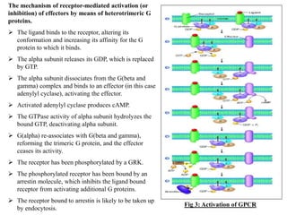 G-Protein Coupled Receptors and Secondary Messenger Pathways | PPTX