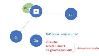 G protein coupled receptors new | PPTX