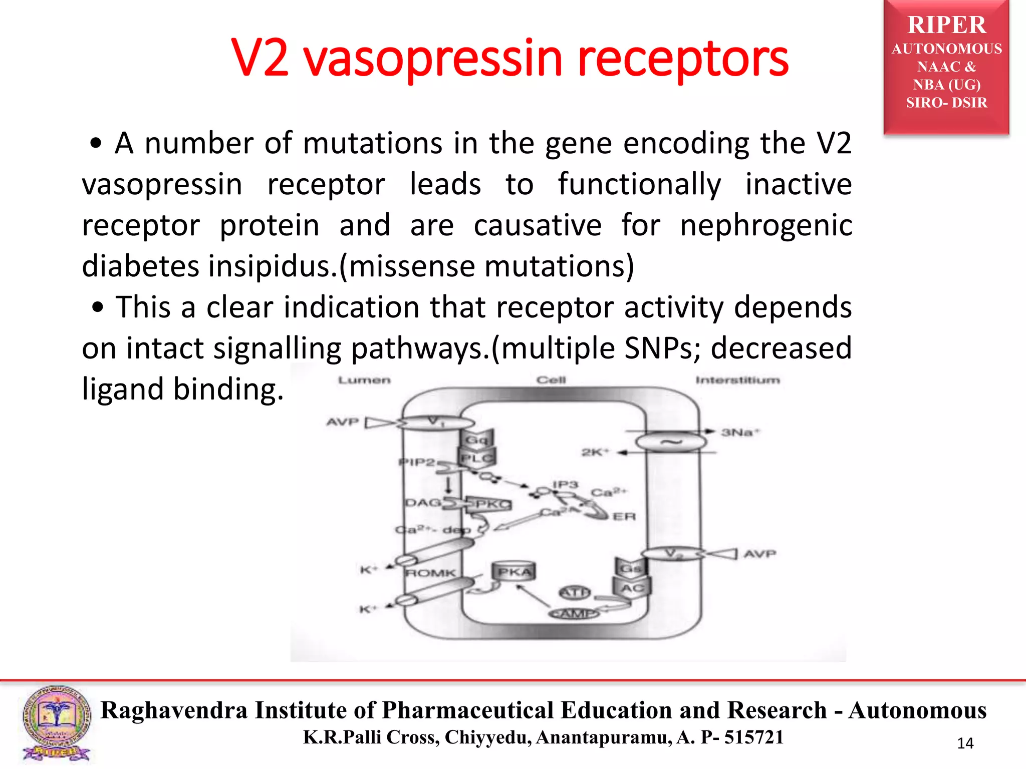 GENETIC VARIATION IN GPCR | PPTX