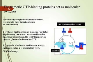 G-protein for lecture.ppt