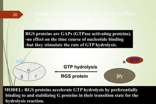 G-protein for lecture.ppt