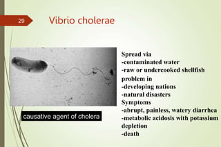 G-protein for lecture.ppt