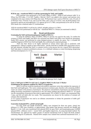DNA damage repair Neil3 gene Knockout in MOLT-4 | PDF