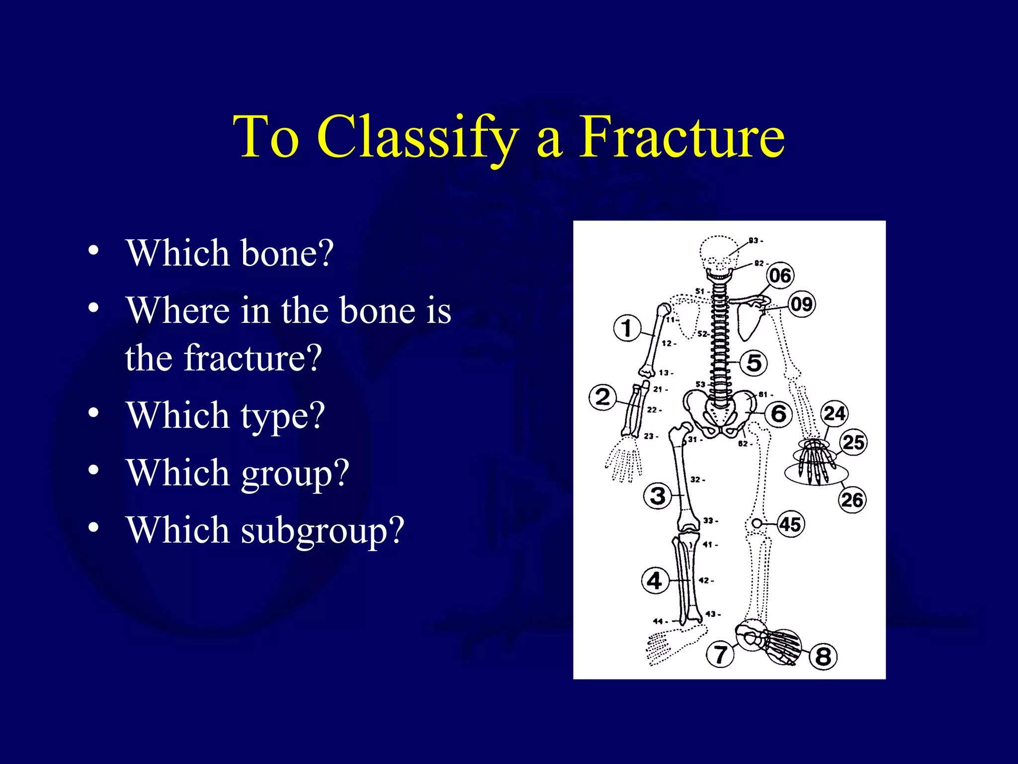 G06 fracture classification | PPT