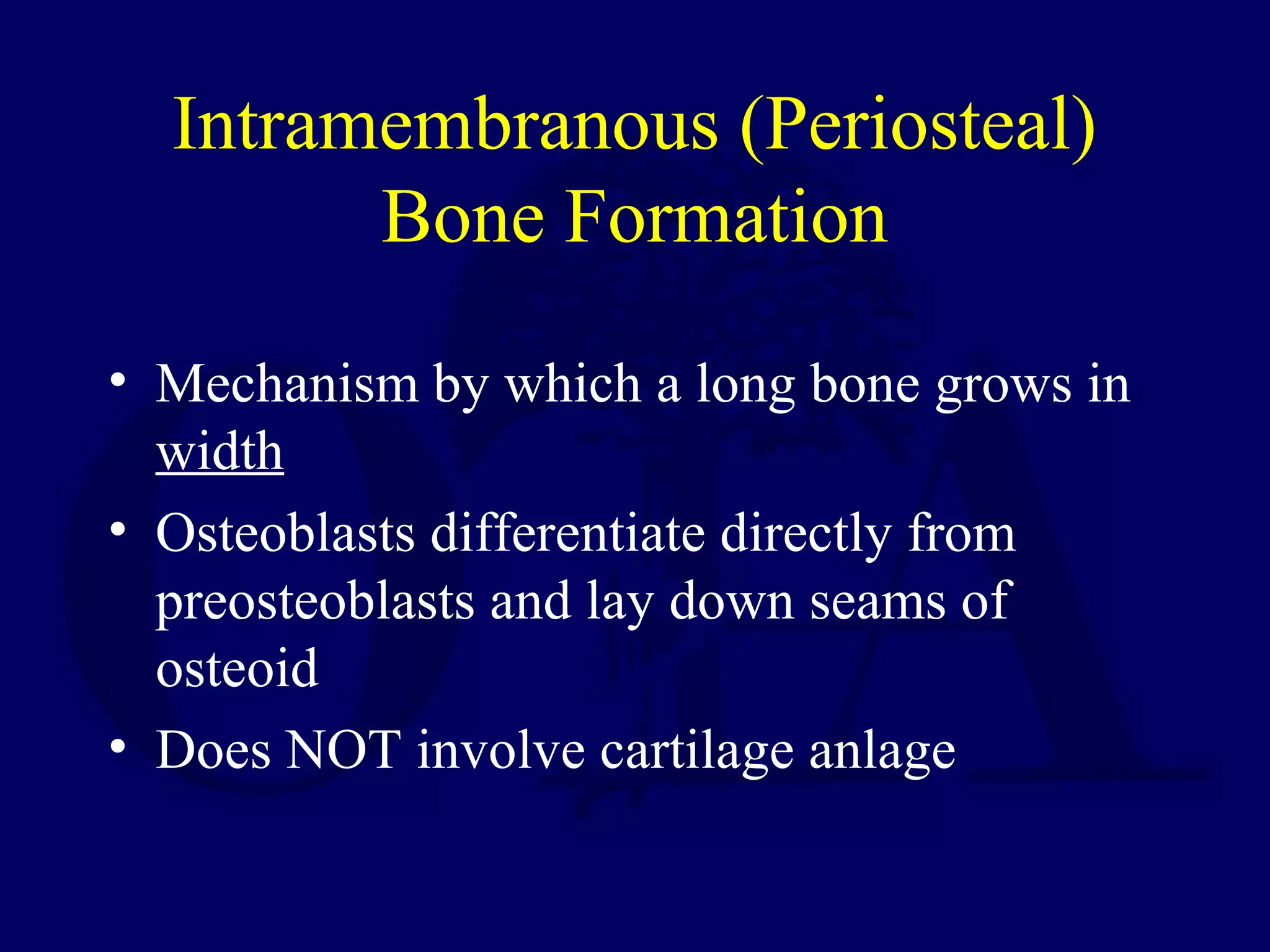 G07 biology of bone repair | PPT