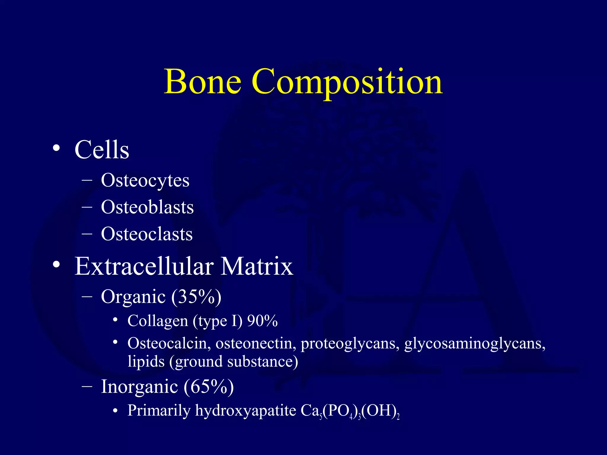 G07 biology of bone repair | PPT