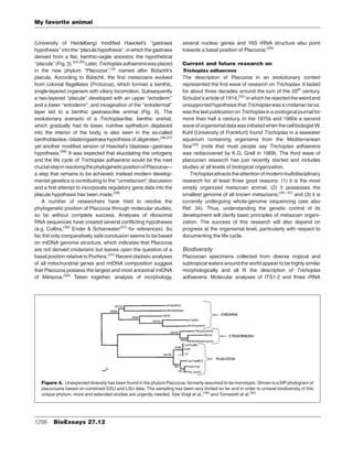 Schierwater.bies.2005 (1) | PDF