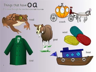 Activities oa | PPT