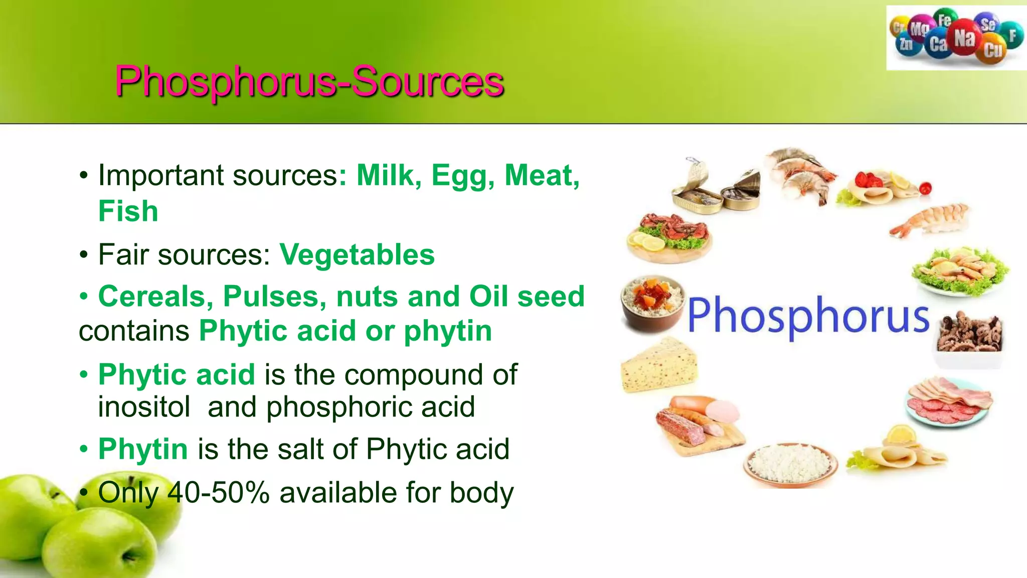 Minerals in Food | PPT
