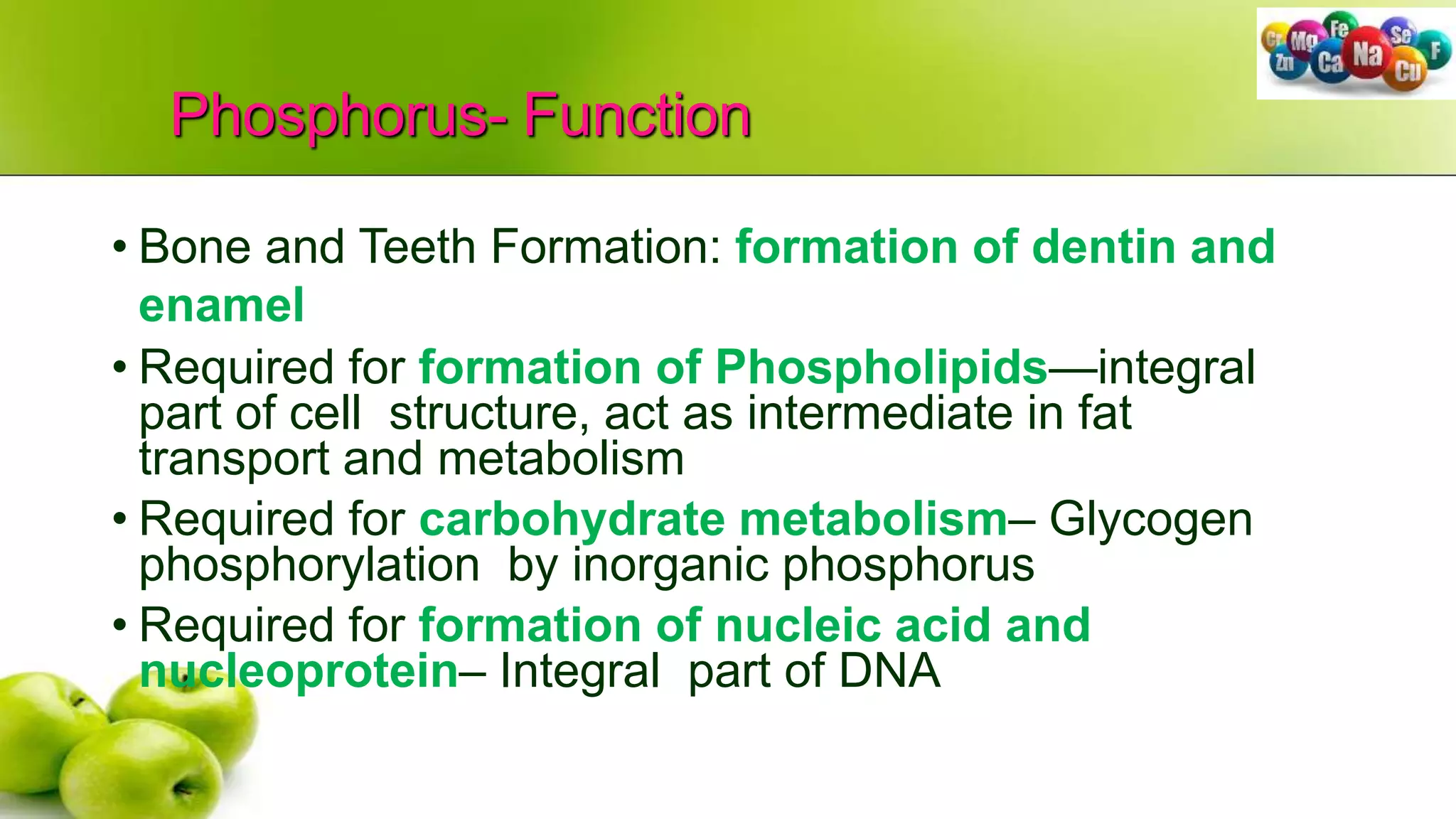 Minerals in Food | PPT