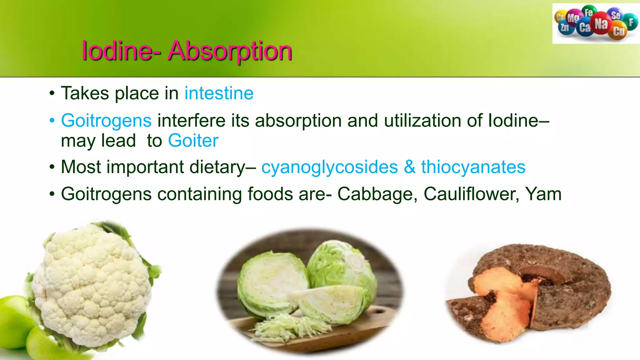Minerals in Food | PPT