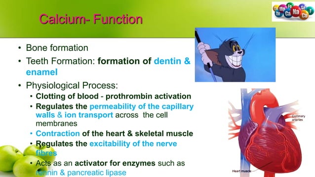 Minerals in Food | PPT | Nutrition | Healthy Living