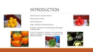recent advances in capsicum under polyhouse | PPTX