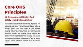 Construction Occupational Safety and Health | PDF