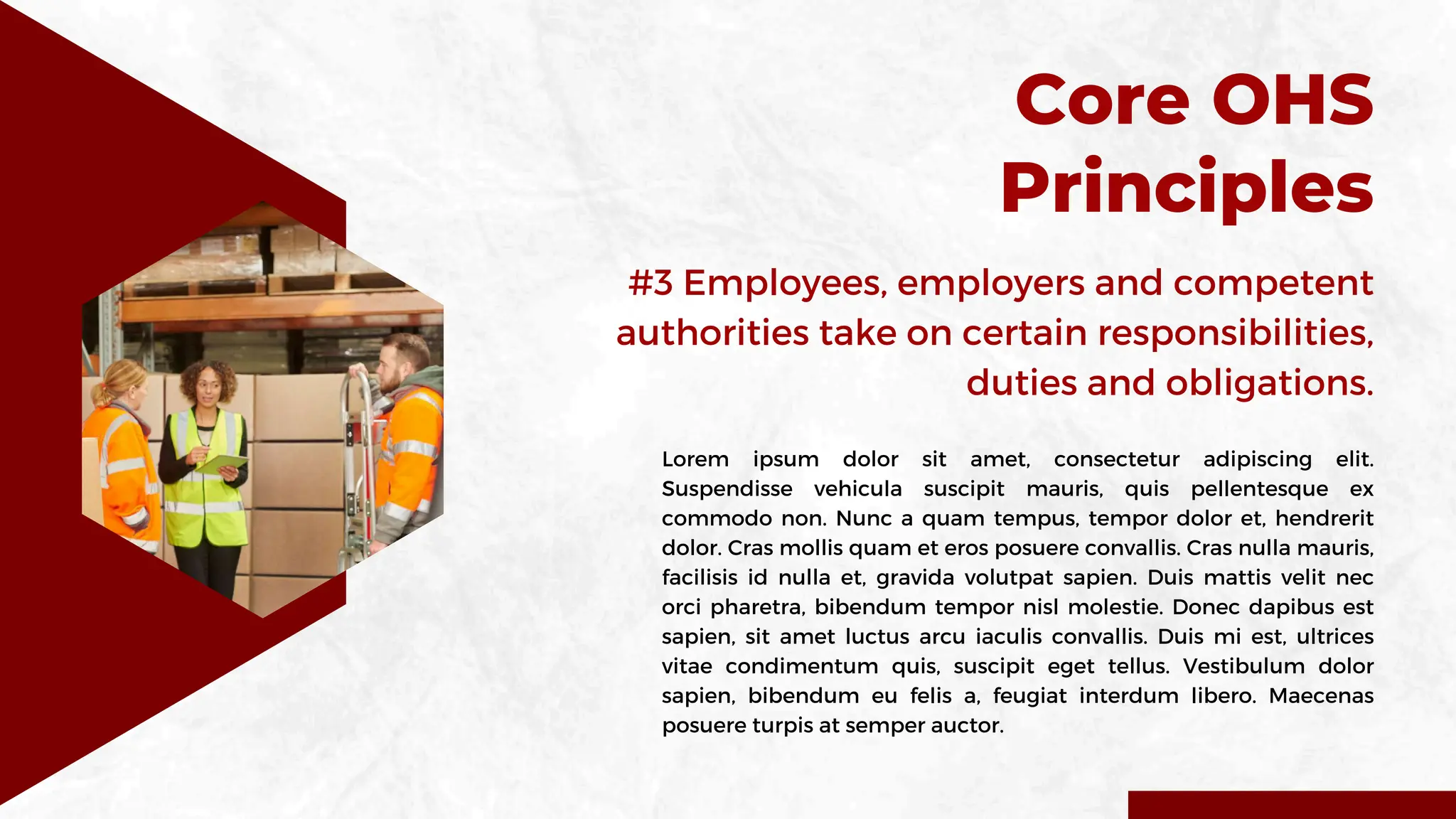 Construction Occupational Health and Safety | PDF