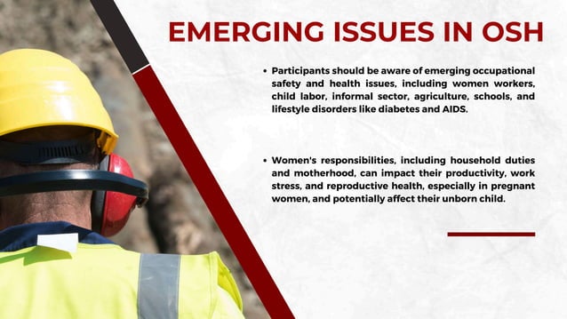 Construction Occupational Health and Safety | PDF