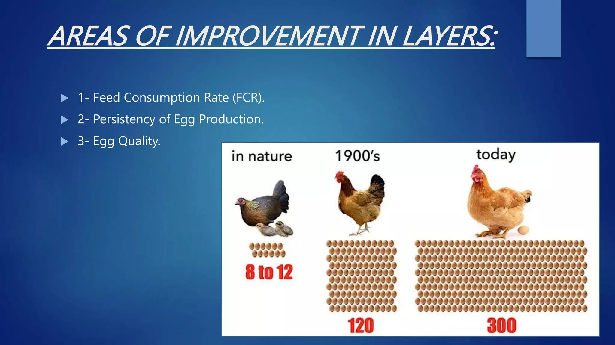 G1 - Genetic Improvement in Poultry..pptx