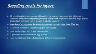 G1 - Genetic Improvement in Poultry..pptx