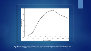 G1 - Genetic Improvement in Poultry..pptx